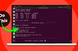 Run Ubuntu 24.04 on Windows 11 with GUI using WSL