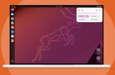 Run Ubuntu 24.04 on Windows 11 with GUI using WSL