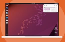 Run Ubuntu 24.04 on Windows 11 with GUI using WSL