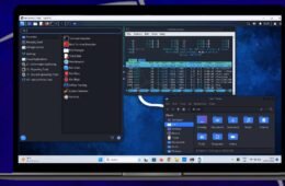 Run Ubuntu 24.04 on Windows 11 with GUI using WSL