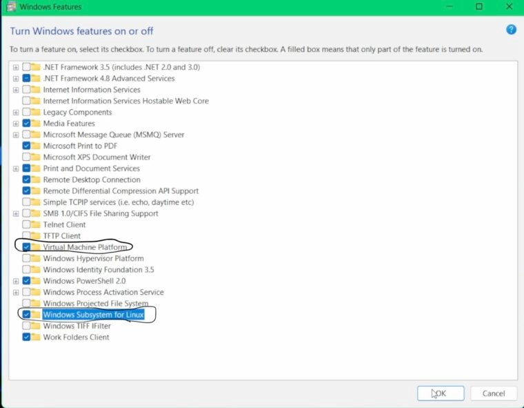 Run Ubuntu 24.04 on Windows 11 with GUI using WSL