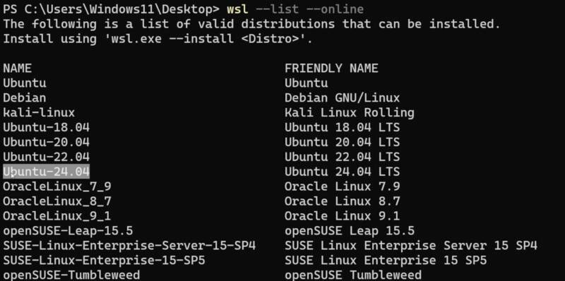 Run Ubuntu 24.04 on Windows 11 with GUI using WSL